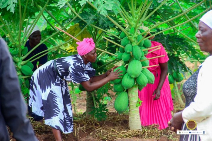 UNDP RESIDENT REPRESENTATIVE ENGAGES FARMERS DURING VISIT TO ZRBF 2 ...